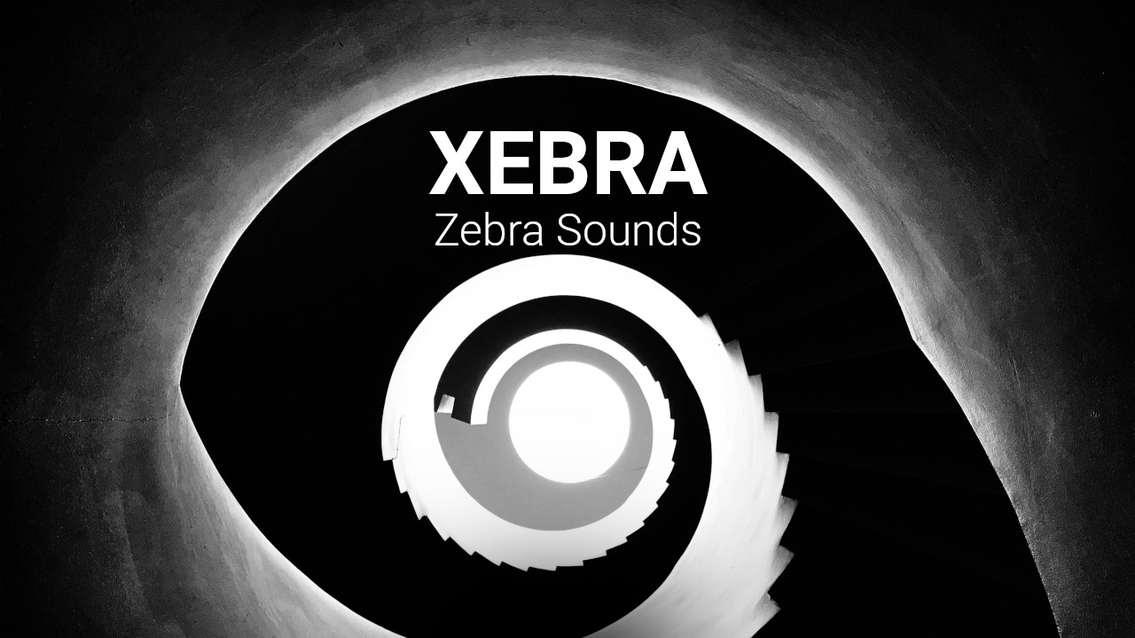 Xebra for Zebra by Spektralisk